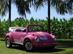 MINICAR VEÍCULOS - Mini Fusca Herbie Motorizado