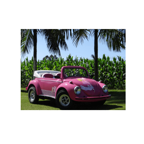 MINICAR VEÍCULOS - MINI FUSCA INFANTIL COMPLETO PERSONALIZADO